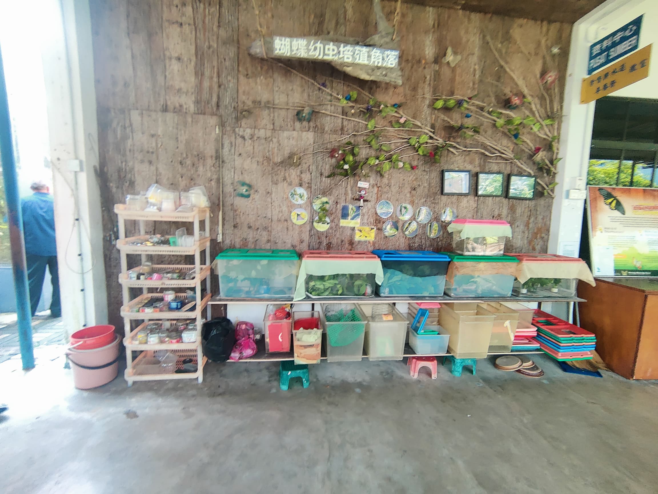 Penilaian Anugerah Sekolah Hijau 2024 SKJC Kim Sen