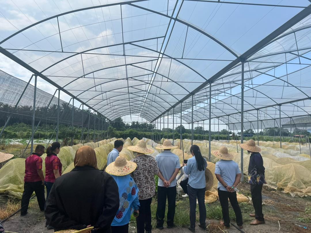 Lawatan Tapak Ke Kebun Vitrox Agritech Sdn Bhd